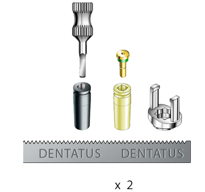 Anew | Dentatus